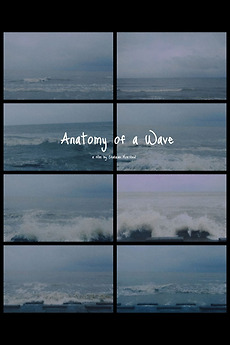 ‎Anatomy of a Wave directed by Shahran Morshed • Film + cast • Letterboxd