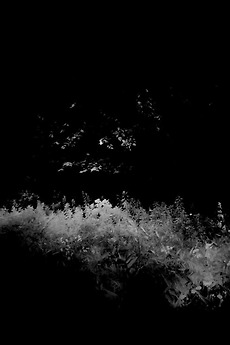 ‎Burn Out Like a Dying Candle in the Cradle of my Arms directed by ...