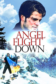 ‎Angel Flight Down (1996) directed by Charles Wilkinson • Reviews, film ...