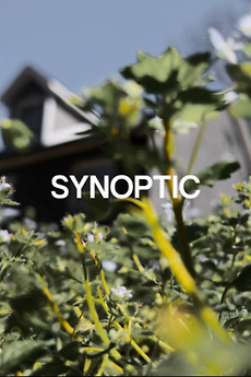 ‎Synoptic (2024) directed by Liam Hartelli • Reviews, film + cast ...