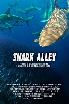 ‎Shark Alley (2015) directed by Peter Lamberti • Film + cast • Letterboxd
