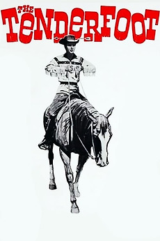 ‎The Tenderfoot (1964) directed by Robert L. Friend • Reviews, film ...