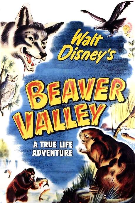 ‎Beaver Valley (1950) directed by James Algar • Reviews, film + cast ...