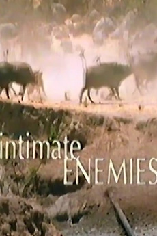 ‎Intimate Enemies (2000) directed by Sophie Darlington • Reviews, film ...