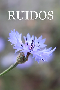 ‎Ruidos (2023) directed by Tomás Salbar • Film + cast • Letterboxd