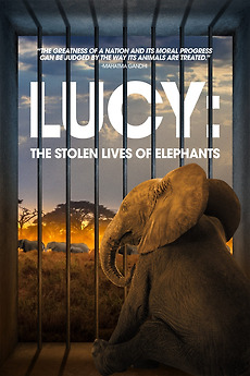 ‎Lucy: The Stolen Lives of Elephants (2025) directed by Fern Levitt ...