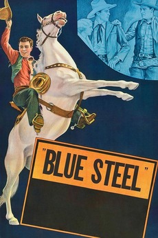 ‎Blue Steel (1934) directed by Robert N. Bradbury • Reviews, film ...