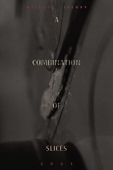 ‎A Combination Of Slices (2023) directed by Michael Jacoby • Film ...