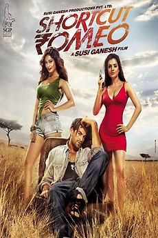 ‎Shortcut Romeo (2013) directed by Susi Ganesan • Reviews, film + cast ...