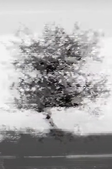 ‎Poem for Calvin (2019) directed by Eli Hayes • Film + cast • Letterboxd