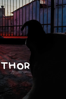 ‎Thor (2024) directed by Lucas Calazans • Reviews, film + cast • Letterboxd
