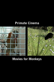 ‎Primate Cinema: Movies for Monkeys (2014) directed by Rachel Mayeri ...