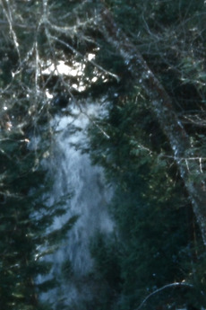 ‎Leaves for a reel (2022) directed by Cameron Worden • Reviews, film ...