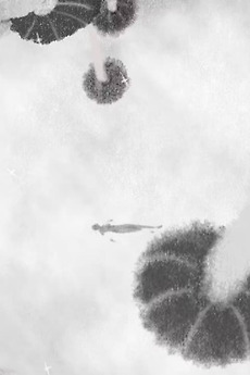 ‎Snow - Salt (2019) directed by Amit Cohen, Noa Berman-Herzberg • Film ...