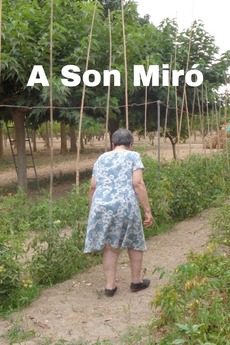 ‎A Son Miró (2024) directed by Rosa Font Bover • Reviews, film + cast ...