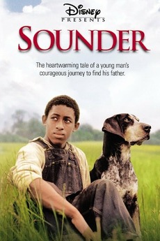 ‎Sounder (2003) directed by Kevin Hooks • Reviews, film + cast • Letterboxd