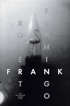 ‎Flamingo (1996) directed by Robert Frank • Reviews, film + cast ...