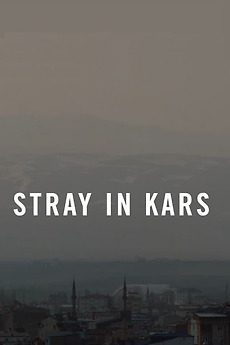 ‎Stray in Kars (2022) directed by Elizabeth Lo • Reviews, film + cast ...