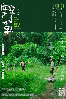 ‎The Perks of Being Wild (2024) directed by Benson Koo • Reviews, film ...