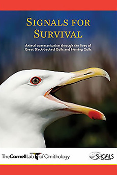 ‎Signals for Survival (2009) • Film + cast • Letterboxd