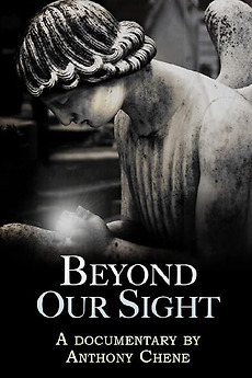 ‎Beyond Our Sight (2015) • Film + cast • Letterboxd