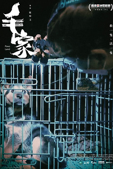 ‎Paws Land (2024) directed by Amen Au Cheuk-Man • Reviews, film + cast ...