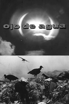 ‎Ojo de Agua (1972) directed by Oscar Molinari • Film + cast • Letterboxd