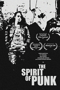 ‎The Spirit of Punk (2024) directed by Andy Krysiak • Reviews, film ...