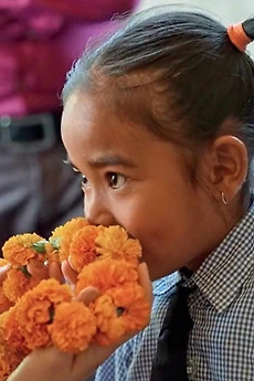 ‎Nepal, Searching the Scent of Hope (2024) • Film + cast • Letterboxd