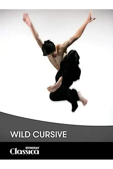 ‎Wild Cursive (2009) directed by Lin Hwai-min • Film + cast • Letterboxd