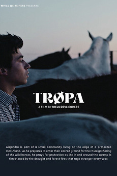 ‎Tropa (2024) directed by Niels Devlieghere • Reviews, film + cast ...