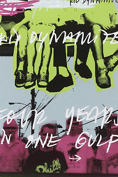 ‎Kid Dynamite: Four Years in One Gulp (2006) directed by Jason Shevchuk ...