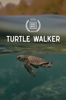 ‎Turtle Walker (2024) directed by Taira Malaney • Reviews, film + cast • Letterboxd