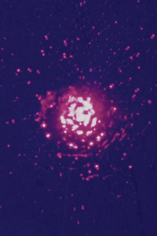 ‎NEBULA (1973) directed by Isao Kota • Film + cast • Letterboxd