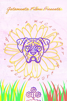 ‎Layla (2018) directed by Nick Gatsby • Film + cast • Letterboxd