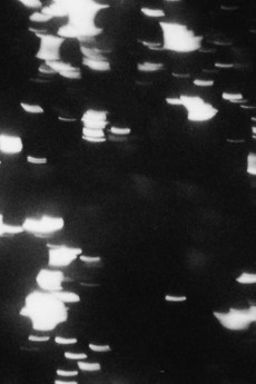 ‎Sunflower (2021) directed by Raha Raissnia • Film + cast • Letterboxd