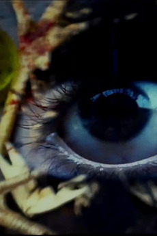 ‎The Alchemist directed by Alfred Hernandez • Film + cast • Letterboxd