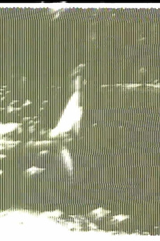 ‎When the Plug is Pulled Out and the Set is Cold (2024) directed by ...