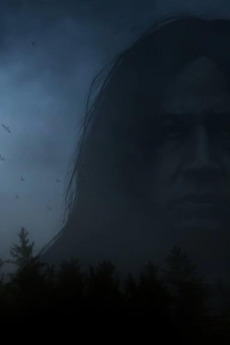 ‎Settler (2024) directed by Trevor Solway • Reviews, film + cast ...