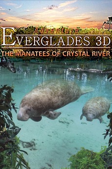 ‎Adventure Everglades 3D - The Manatees of Crystal River (2012 ...