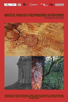 ‎Mintsita, paisajes y respiraciones interferidos (2024) directed by ...