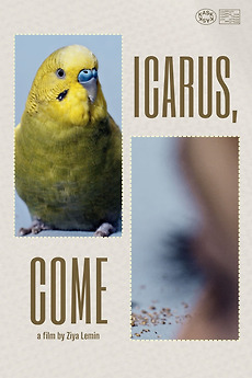 ‎Icarus, Come (2024) directed by Ziya Lemin • Film + cast • Letterboxd