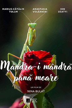 ‎Mândră-i Mândra Până Moare (2024) directed by Nina Bulat • Reviews ...