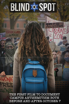 ‎Blind Spot (2024) directed by Seth Kramer, Daniel A. Miller et al ...