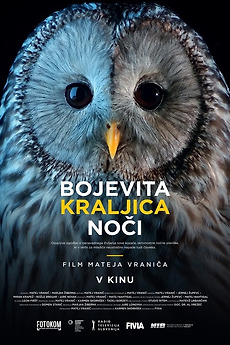 ‎Fearless Queen of the Night (2024) directed by Matej Vranič • Reviews ...