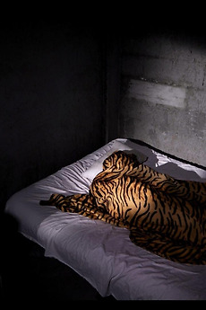 ‎Generous bodies (2024) directed by Achref Toumi • Film + cast • Letterboxd