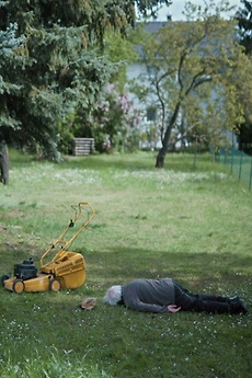‎The Last Bet (2024) directed by Meike Wüstenberg • Reviews, film ...