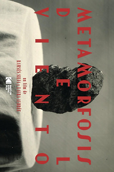 ‎Metamorfosis del viento (2023) directed by Laura Aubrée, Ramsés ...