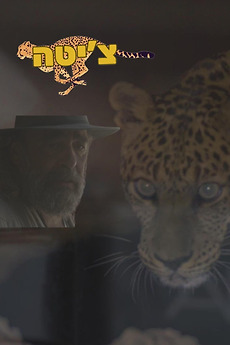 ‎Cheetah (2024) directed by Omer Bright • Reviews, film + cast • Letterboxd