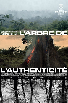 ‎The Tree of Authenticity (2025) directed by Sammy Baloji • Reviews ...